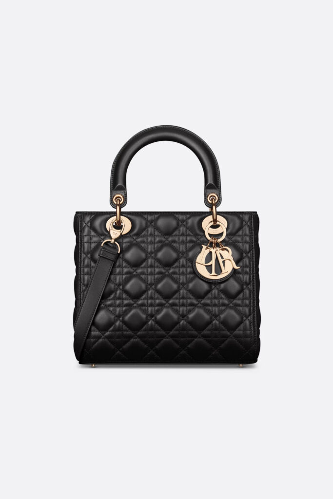 The Most Comprehensive Guide to Dior Bag Models: Every Icon Explained ...